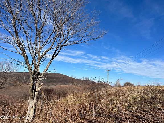 L24 State Route 10, Richmondville, NY 12149 | MLS #202429916 | Zillow