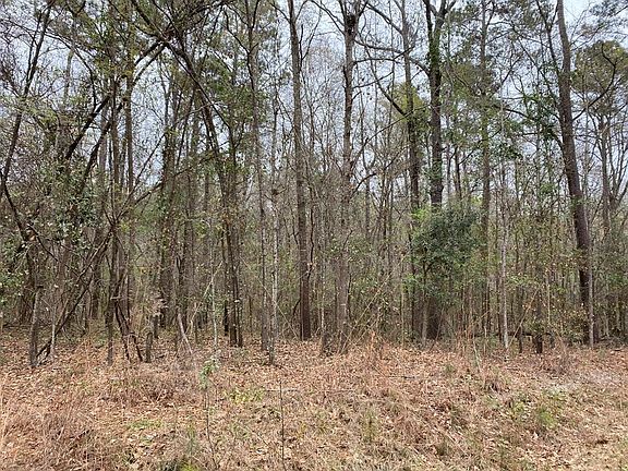 LOT 243 Kenwood Rd, Manning, SC 29102 | MLS #161523 | Zillow