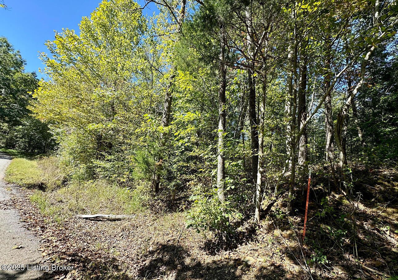 3 Sulphur Lick Rd, New Hope, KY 40052 | MLS #1687470 | Zillow