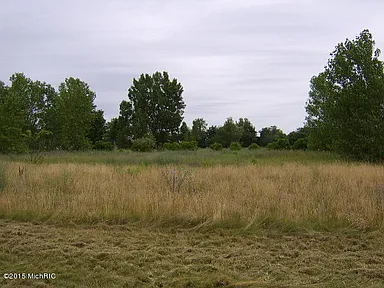 9127 Meadows Pointe Dr Allendale MI | Zillow