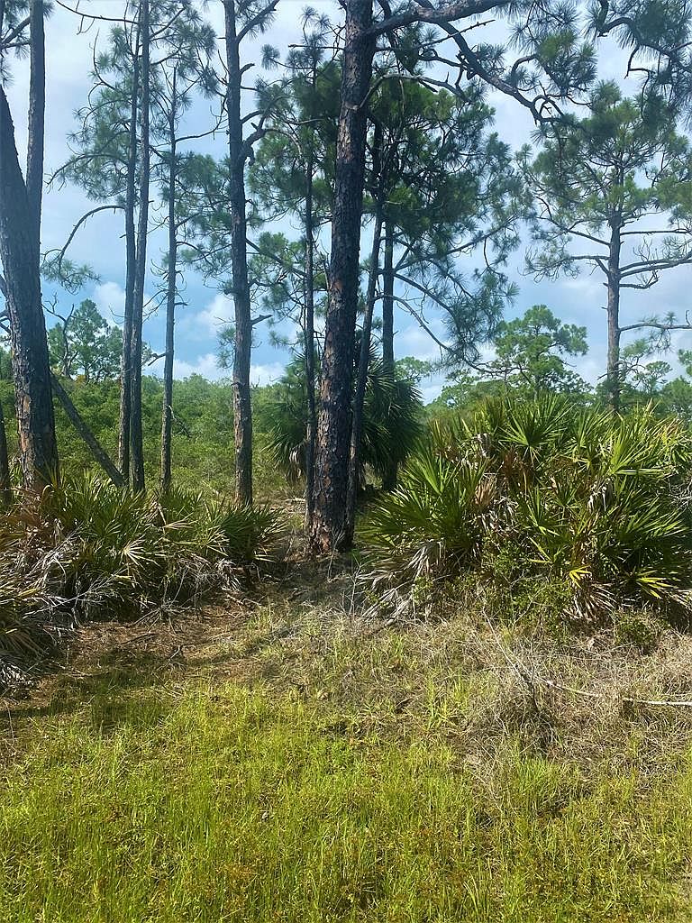 17 McCosh Mill Rd, Pt Saint Joe, FL 32456 | Zillow
