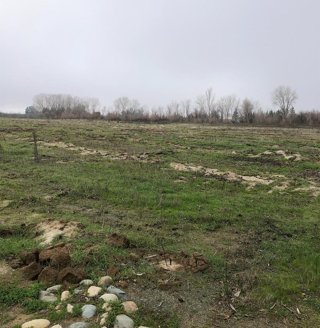 7716 Messick Rd, Marysville, CA 95901 | MLS #225009342 | Zillow