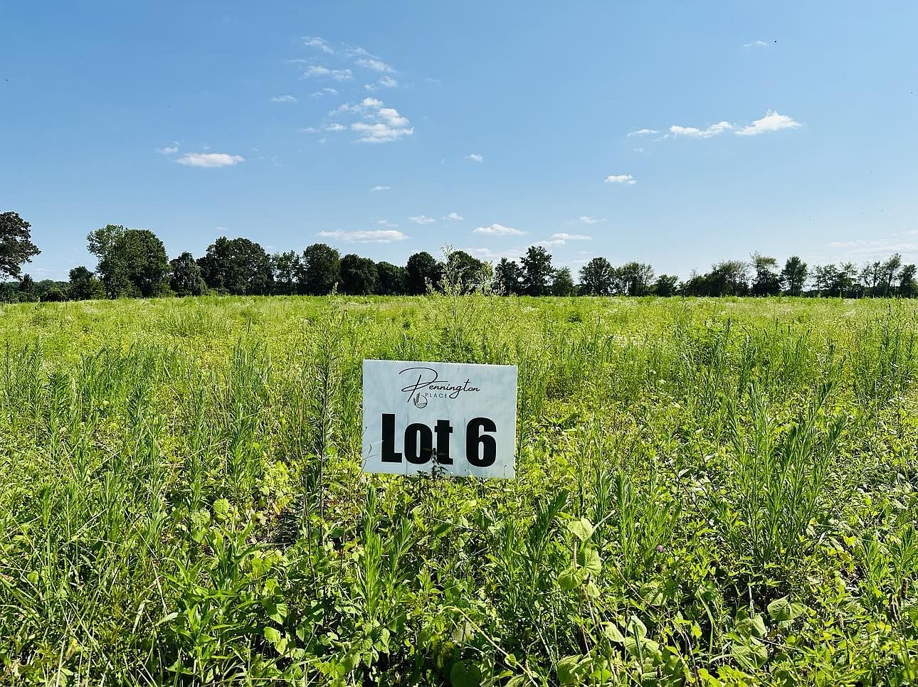 0 Dugout Rd LOT 6, Summertown, TN 38483 | MLS #2691775 | Zillow