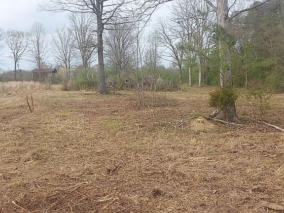 0 Friendship Ln, Delano, TN 37325 | Zillow