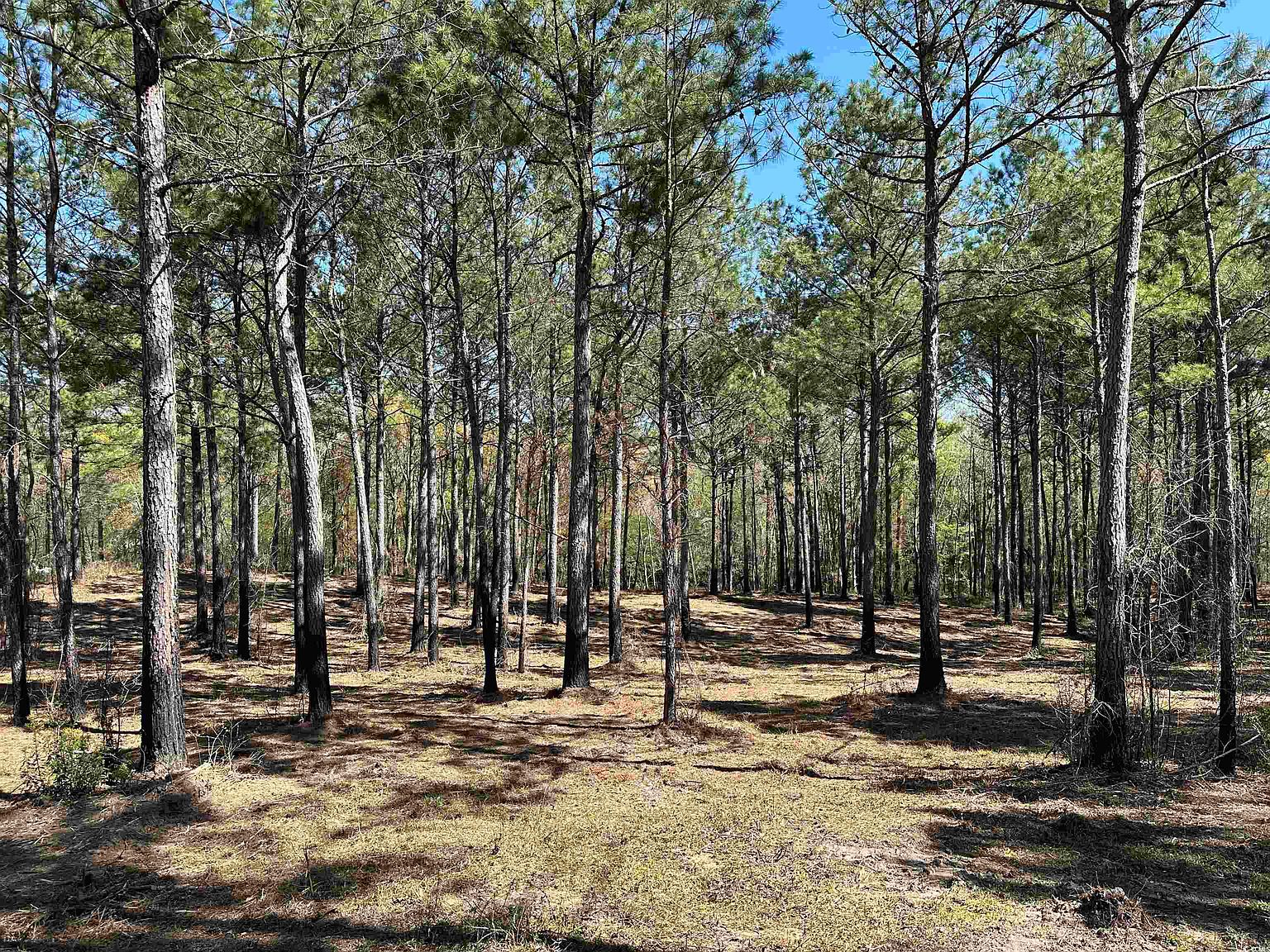 LOT 6 Old Camp Ln., Salters, SC 29590 | MLS #2402628 | Zillow
