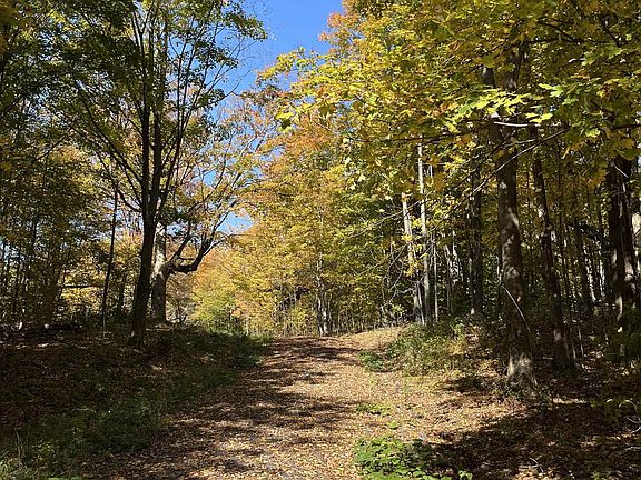 699 Old Maple Lane, Danby, VT 05739 | MLS #5010300 | Zillow