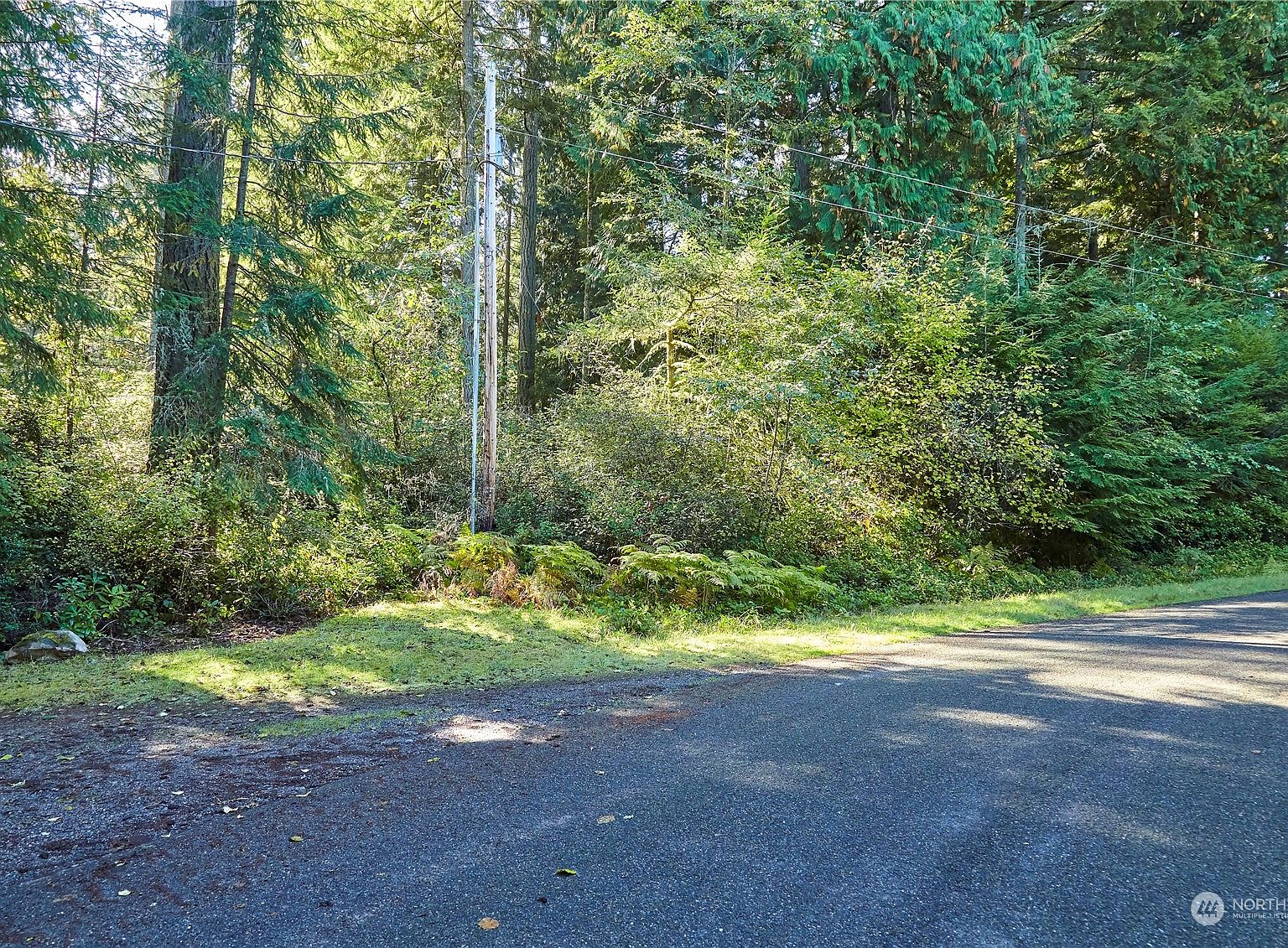 11114 106th Street, Anderson Island, WA 98303 [Price Cut $7,450] | Zillow