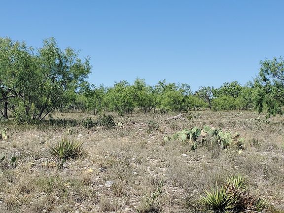 1307 Big Buck Run, Fort Mc Kavett, TX 76841 | MLS #88738 | Zillow