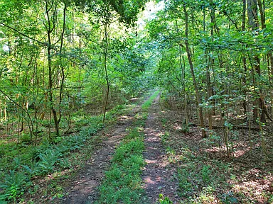19862/AC Apalachee Woods Trl Buckhead GA | Zillow