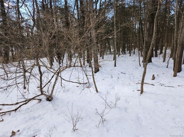 Blooming Grove NY Real Estate - Blooming Grove NY Homes For Sale | Zillow Blooming Grove NY Real Estate - Blooming Grove NY Homes For Sale | Zillow