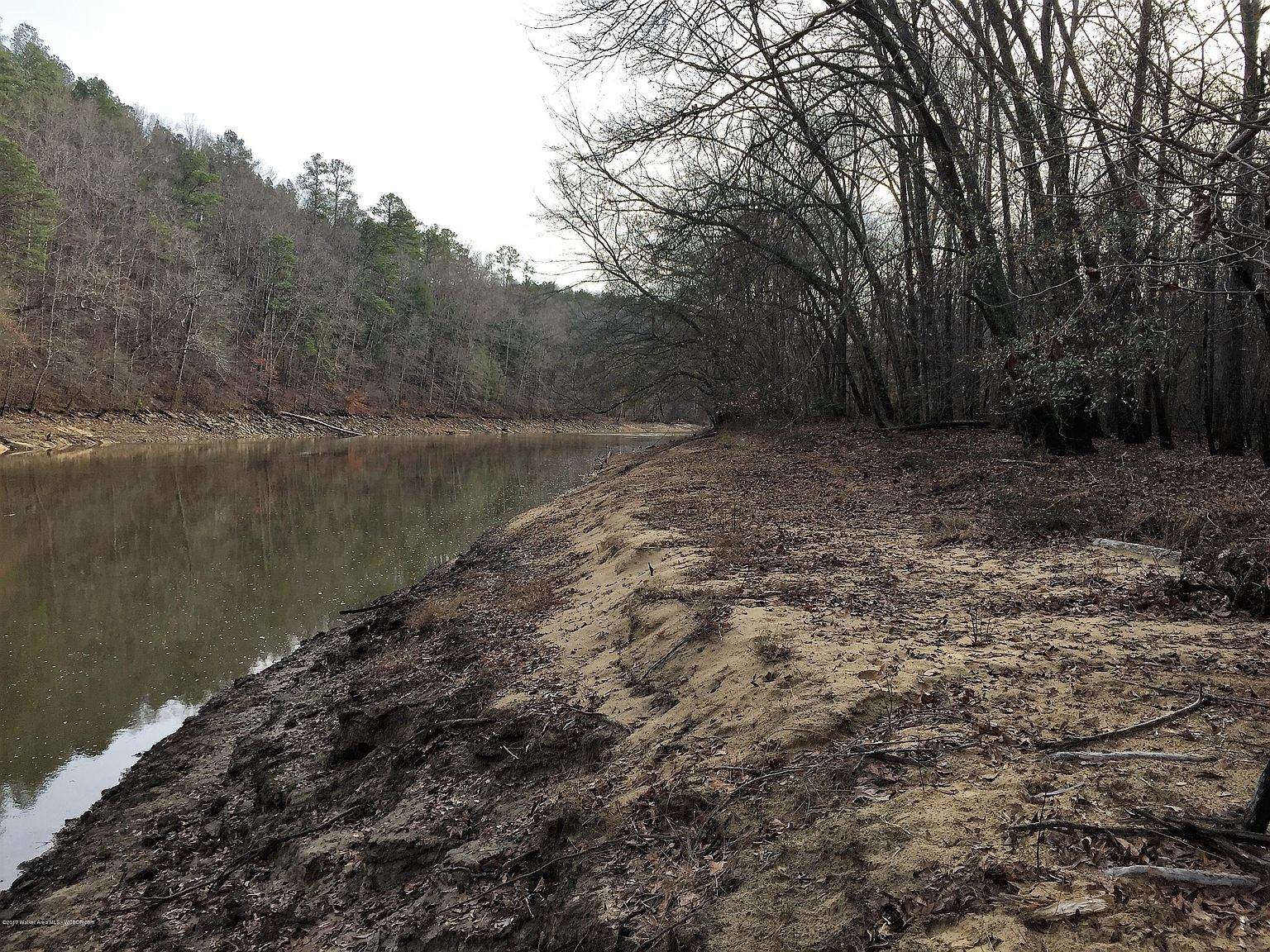 LOT 6 Bankhead Shrs, Double Springs, AL 35553 | Zillow