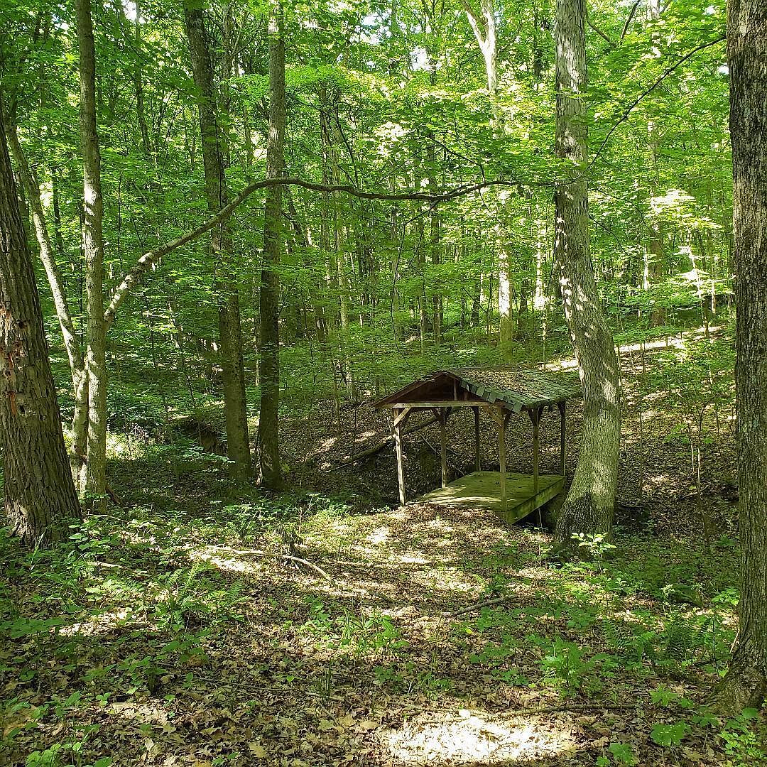 9075 Mulberry Rd SE, Mount Perry, OH 43760 | MLS #224018563 | Zillow