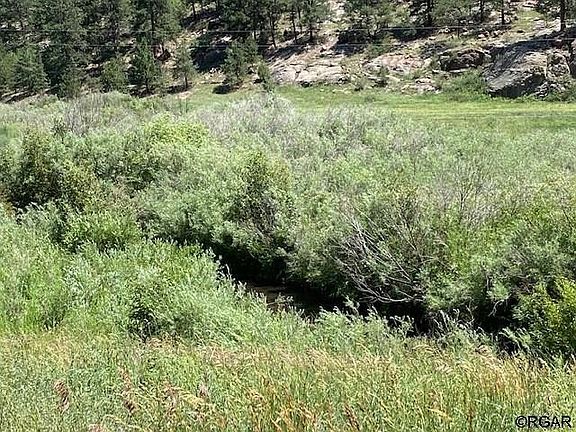 55 Ranch View Rd, Florissant, CO 80816 | Zillow