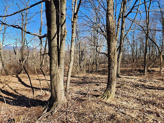 0 Ramper Farm Ln, Broad Top, PA 16621 | Zillow