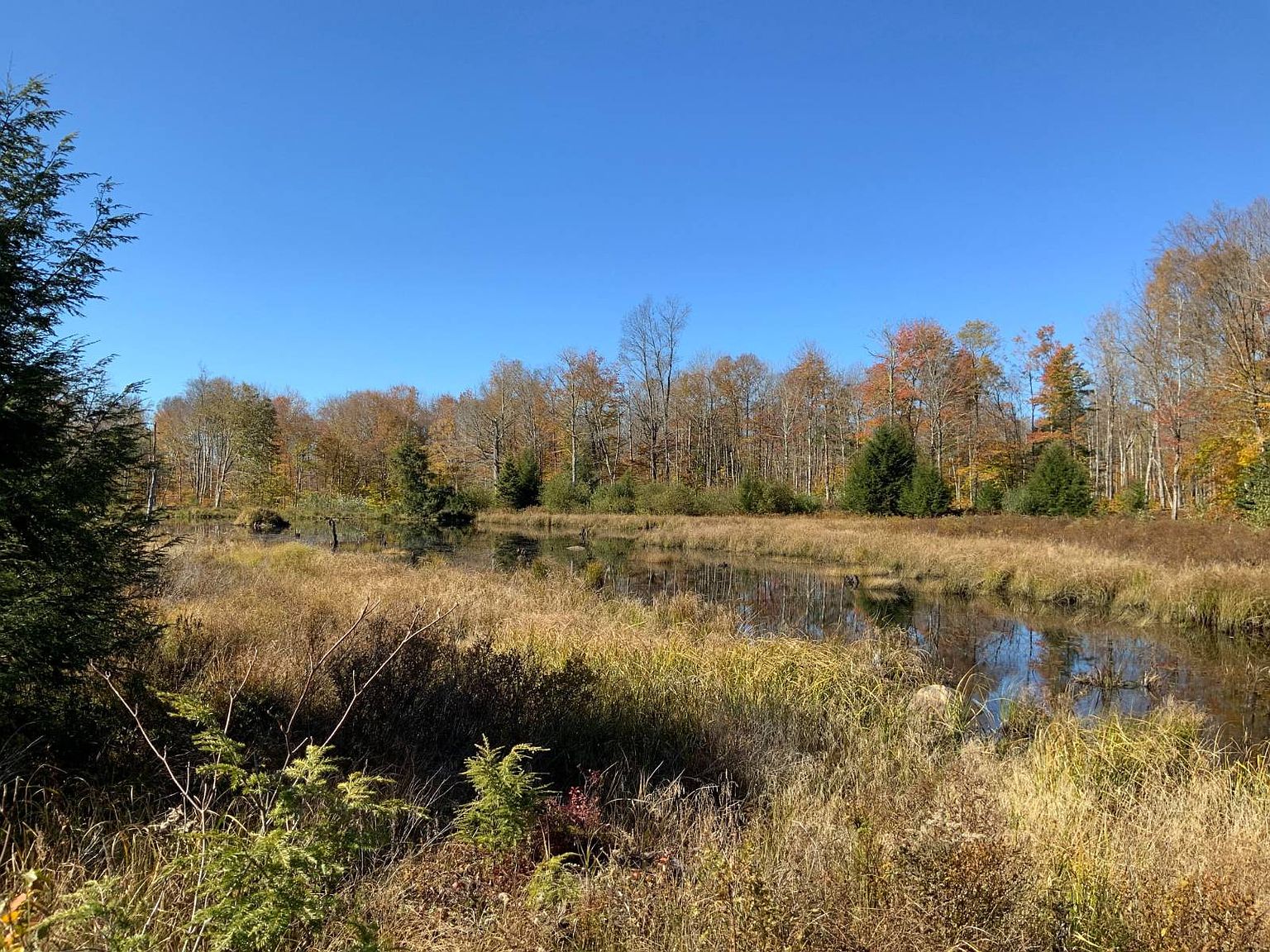 Off County Rd #119, Stratford, NY 13470 | MLS #11361963 | Zillow