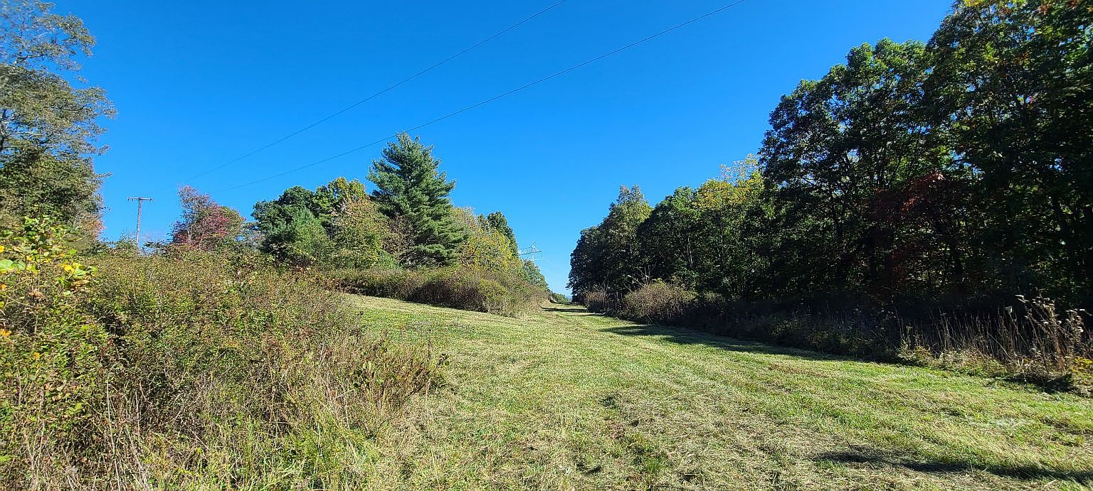 123 Ellison Ridge Rd, Jumping Branch, WV 25969 | Zillow