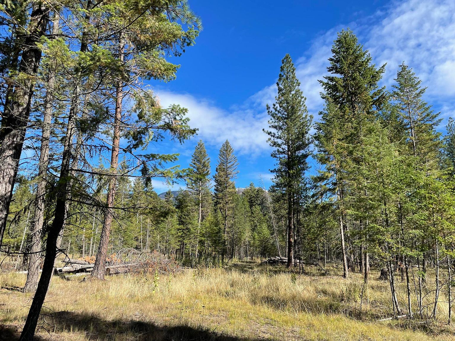 Nhn S Ferndale Dr, Bigfork, MT 59911 | Zillow