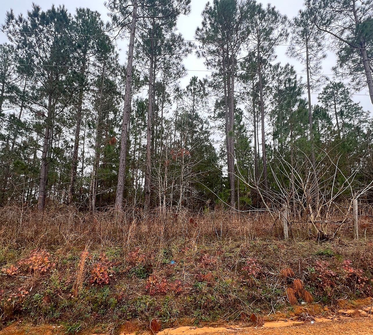 1031 Flucker Maddox Rd, Rockledge, GA 30454 | Zillow