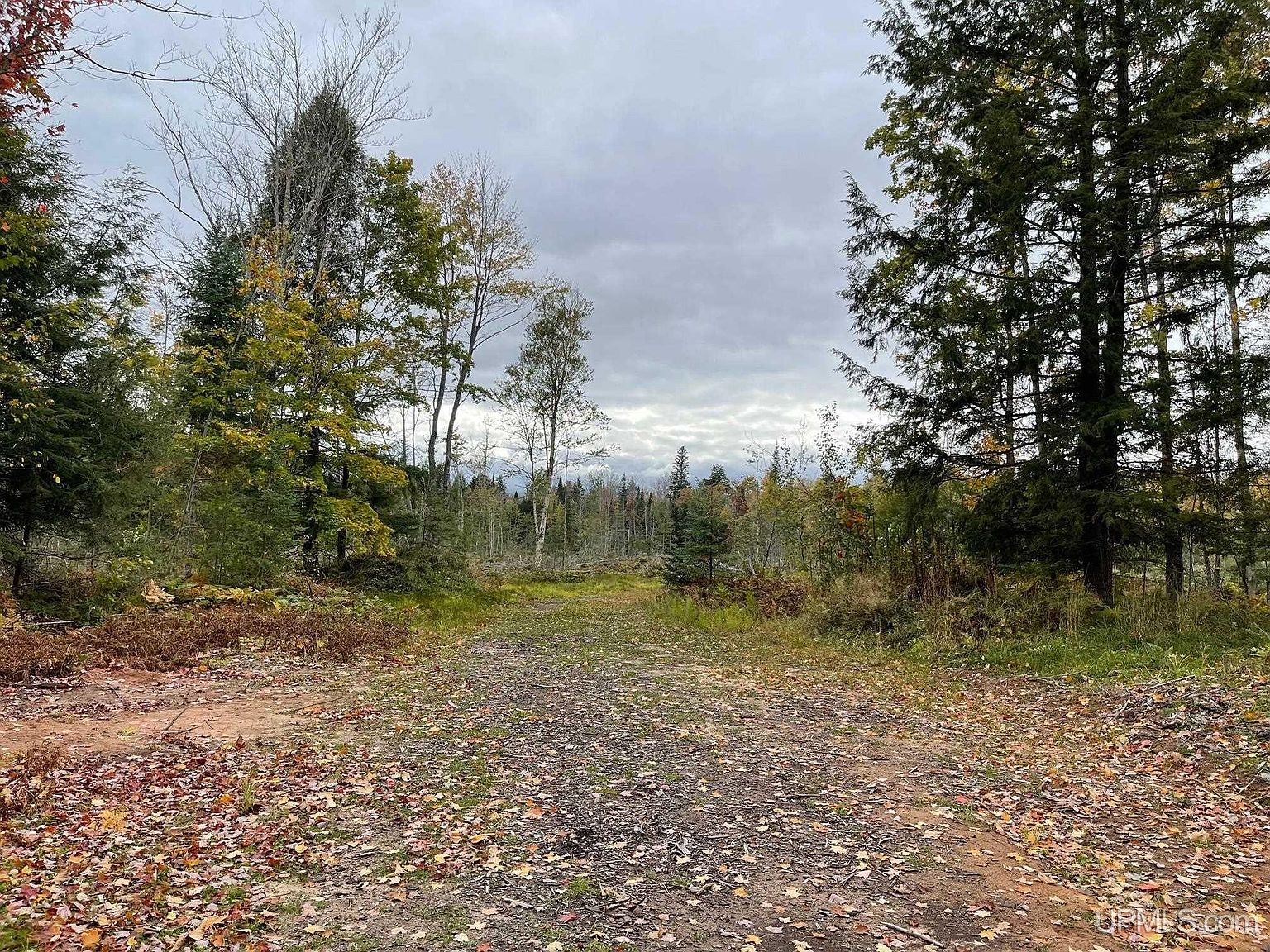 Kiviranta Rd, Nisula, MI 49952 | Zillow