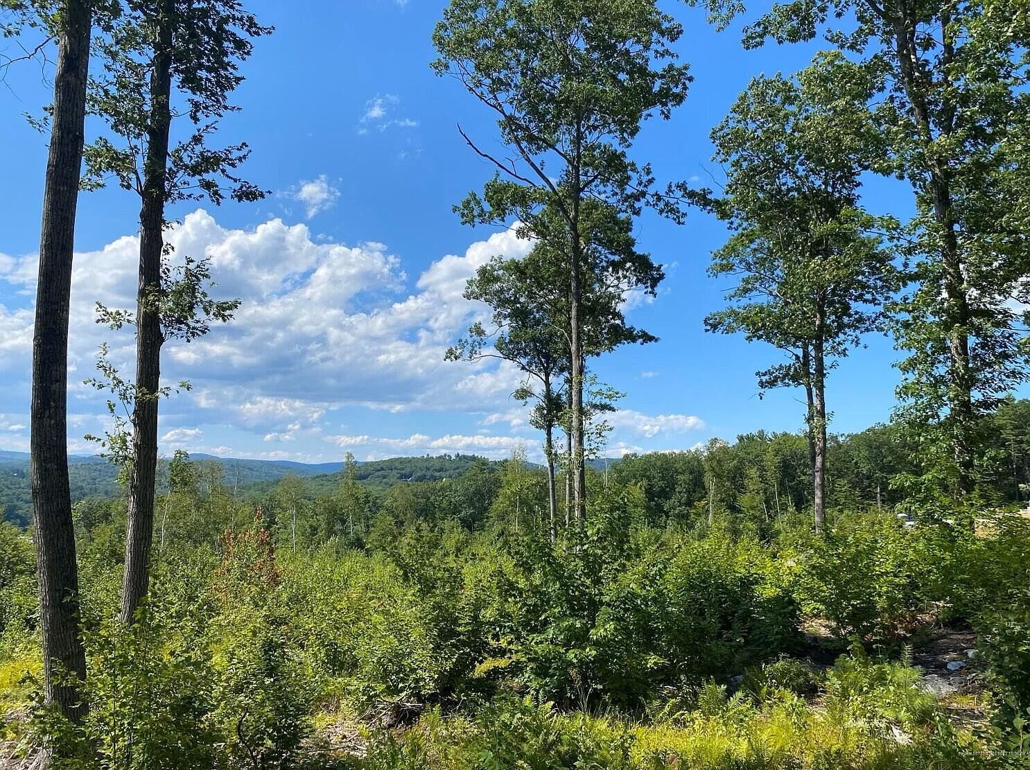 Lot 17 Birch Circle, Harrison, ME 04040 | MLS #1635301 | Zillow