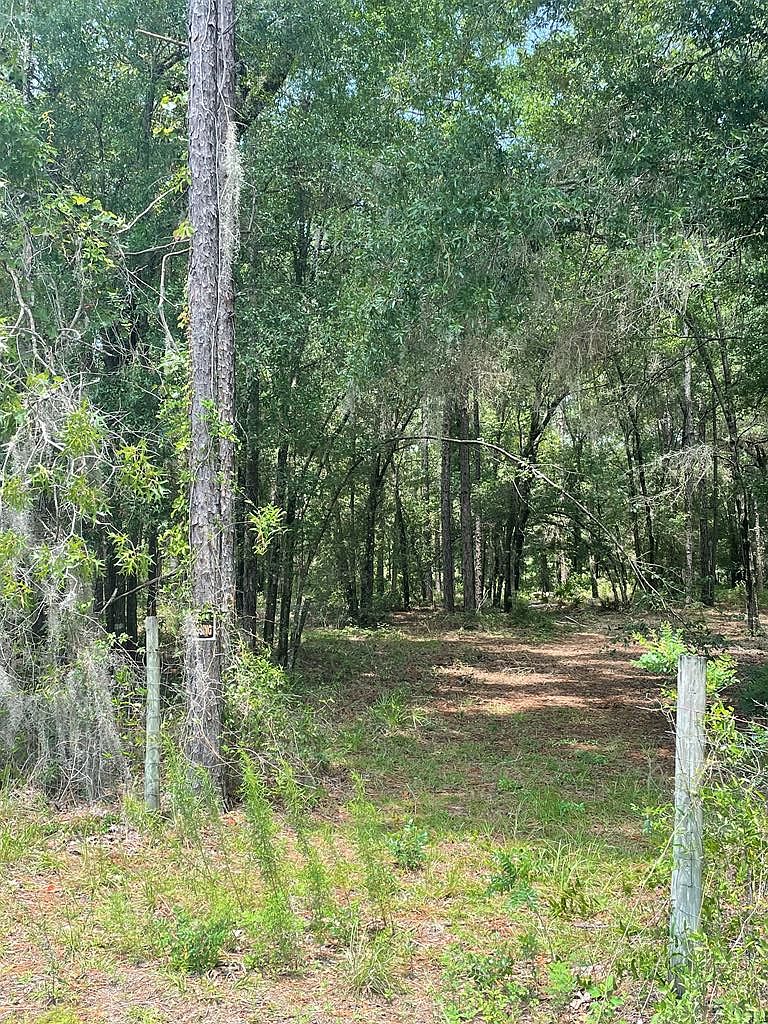 12681 NE County Road 351, Old Town, FL 32680 | Zillow