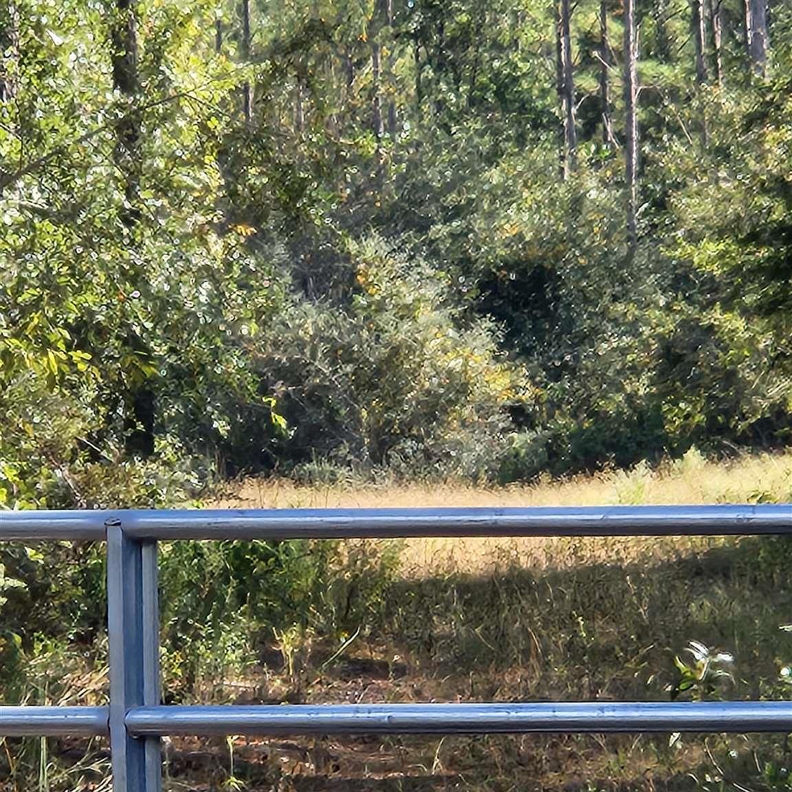 LOT 6 Shepherds Ln, Milton, FL 32570 | Zillow