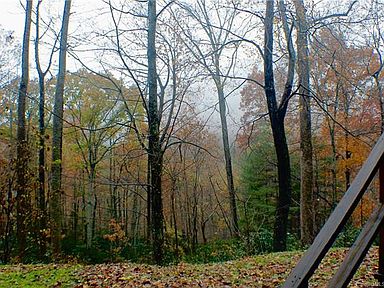 48 Buck Ridge Rd, Fairview, NC 28730 | Zillow