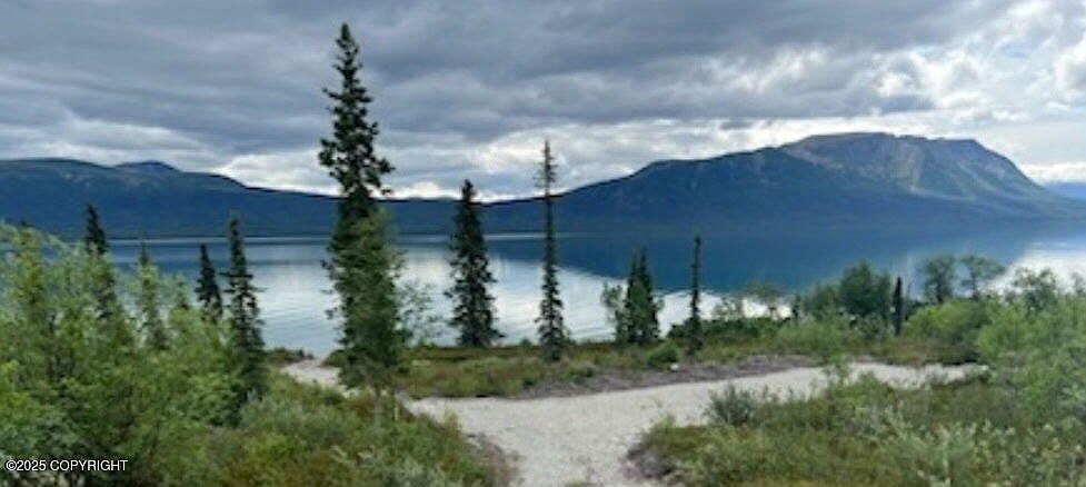 L6 B Keyes Point #9, Nondalton, AK 99640 | MLS #25-9434 | Zillow