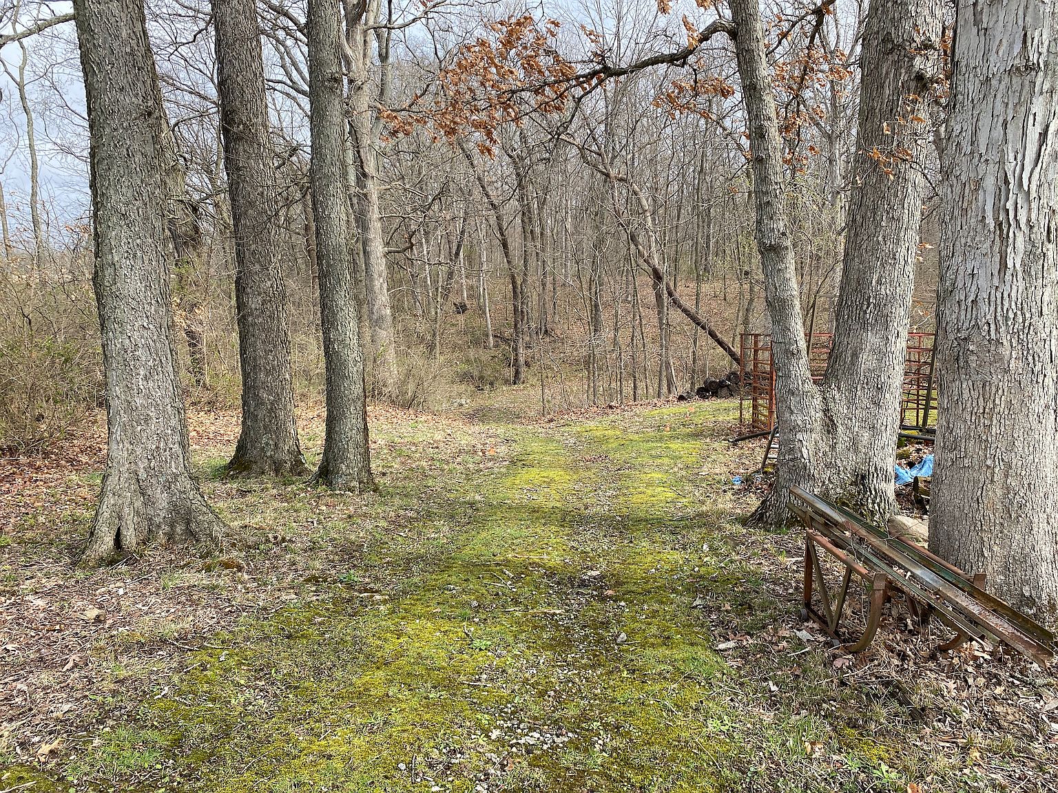 Cabin Ave LOT WP001, Donnellson, IL 62019 | Zillow