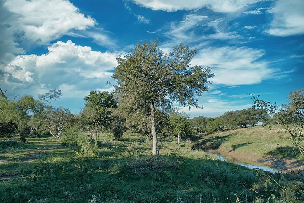 0 Ranch Rd #648, Doss, TX 78618 | MLS #90043 | Zillow