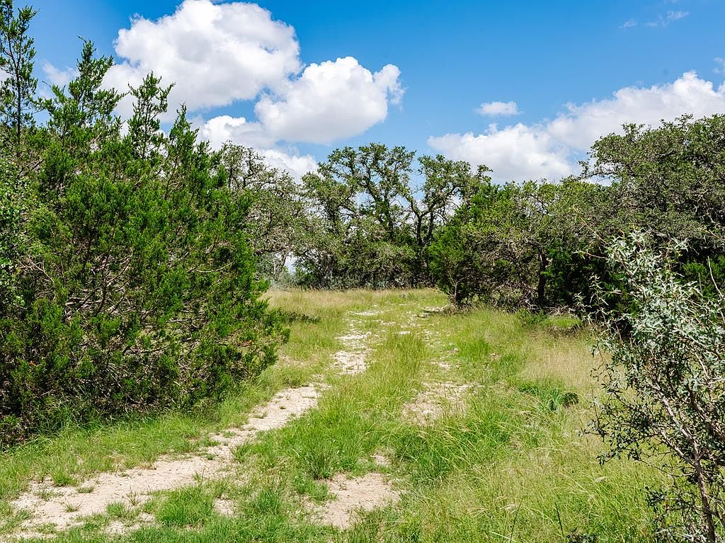 1632 Link Rd, Doss, TX 78618 | MLS #99015 | Zillow