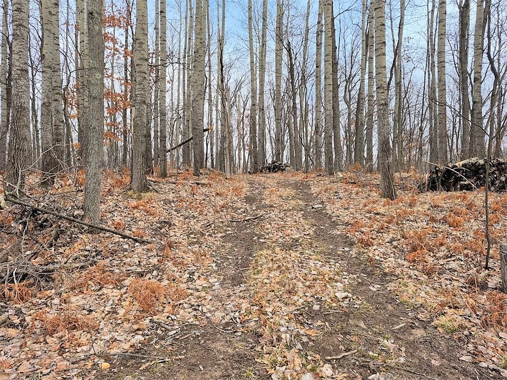 0 Town Hall Road, Springbrook, WI 54875 | Zillow