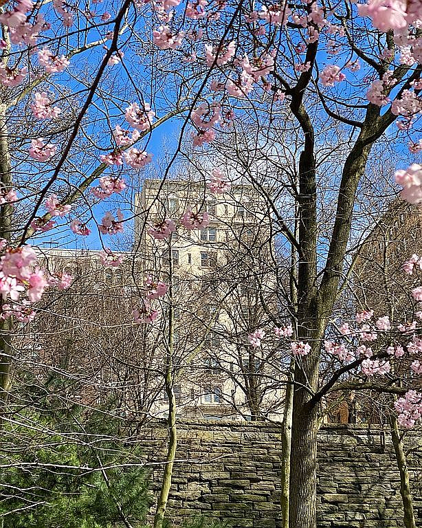 360 Riverside Dr APT 5C, New York, NY 10025 | Zillow