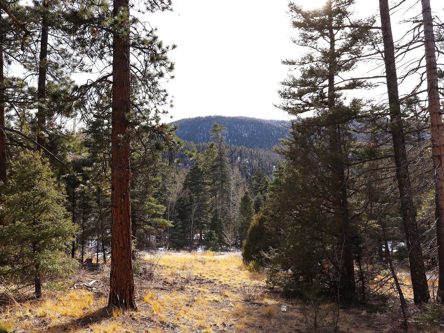 2622 Freeman Rd, Fort Garland, CO 81133 | Zillow