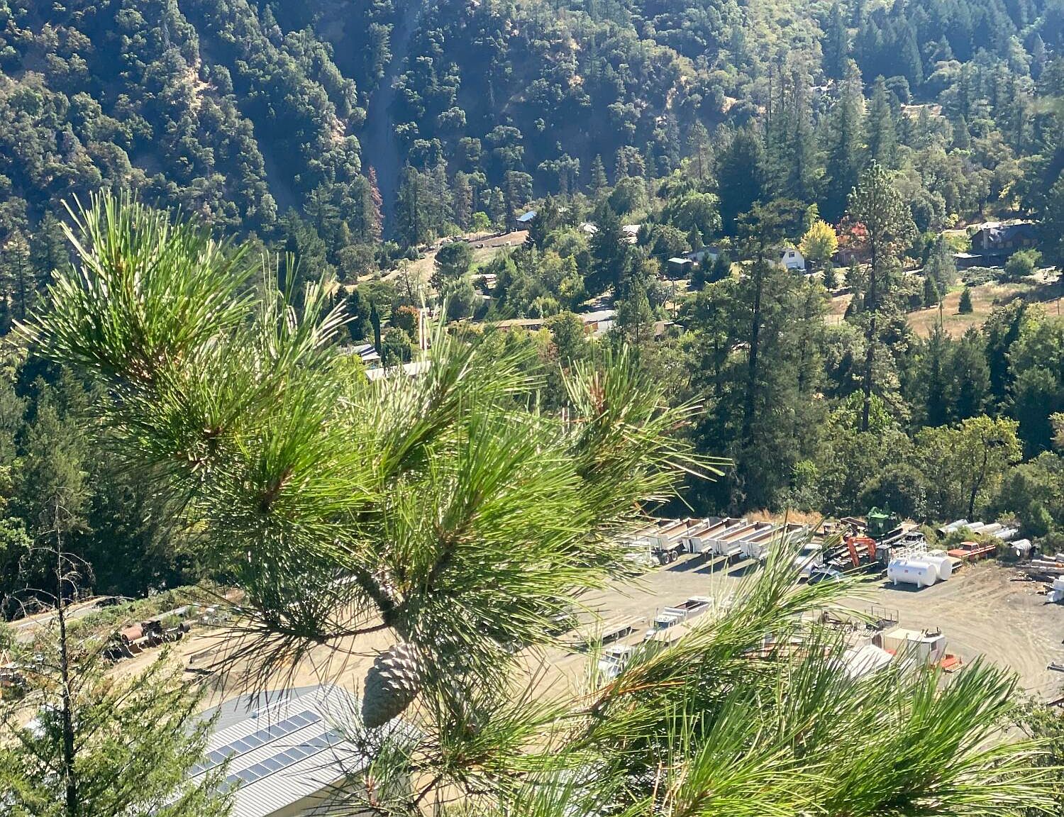 1780 McDonald Creek Rd, Burnt Ranch, CA 95527 | MLS #268402 | Zillow