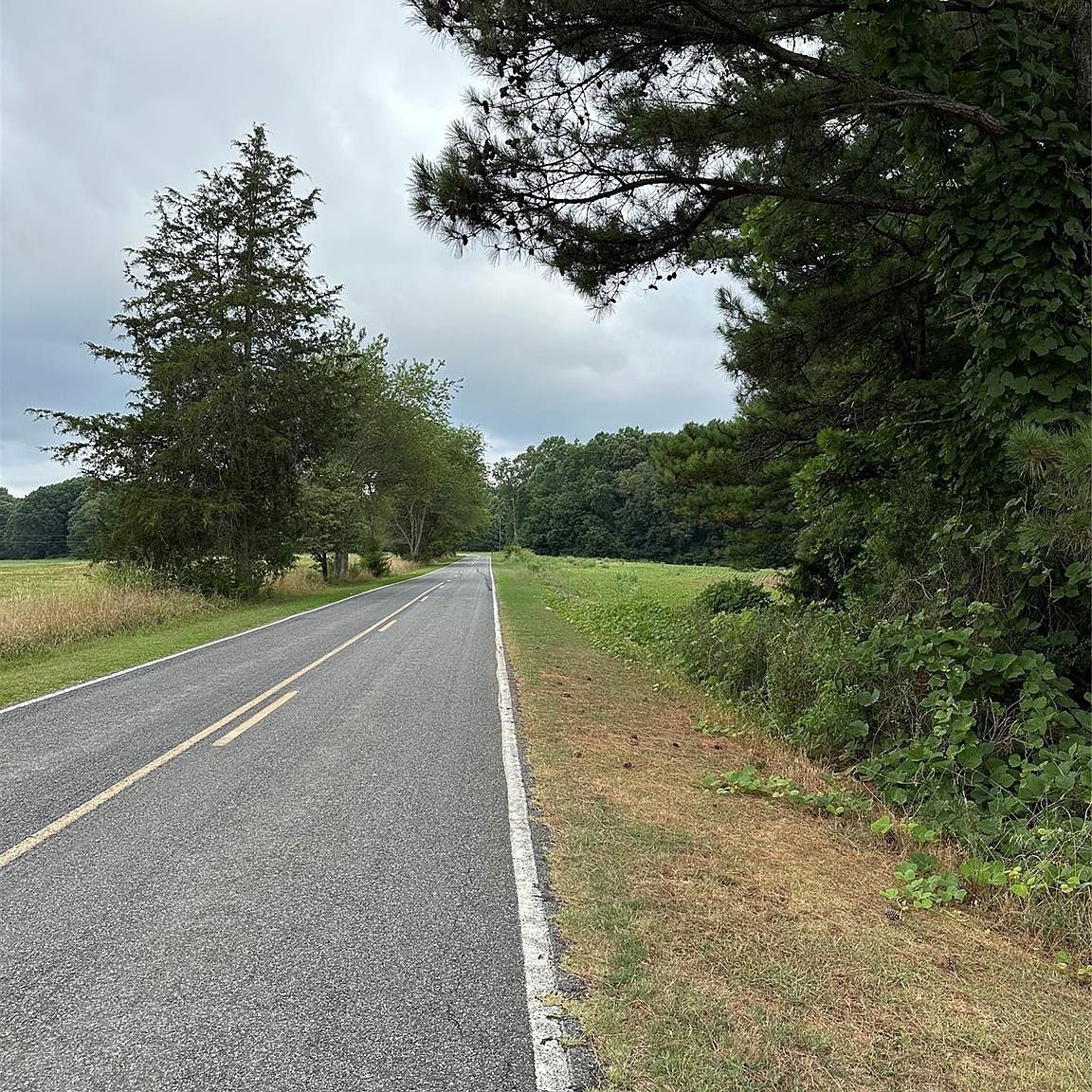 0 Sunnyside Shady Rest Rd, Bessemer City, NC 28016 | MLS #4158712 | Zillow