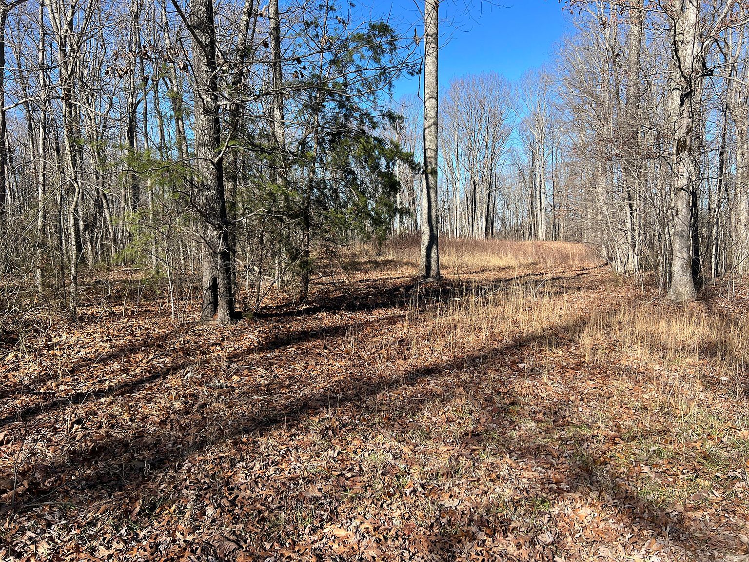 0 Fern Hill Rd #47, Pikeville, TN 37367 | MLS #1504818 | Zillow