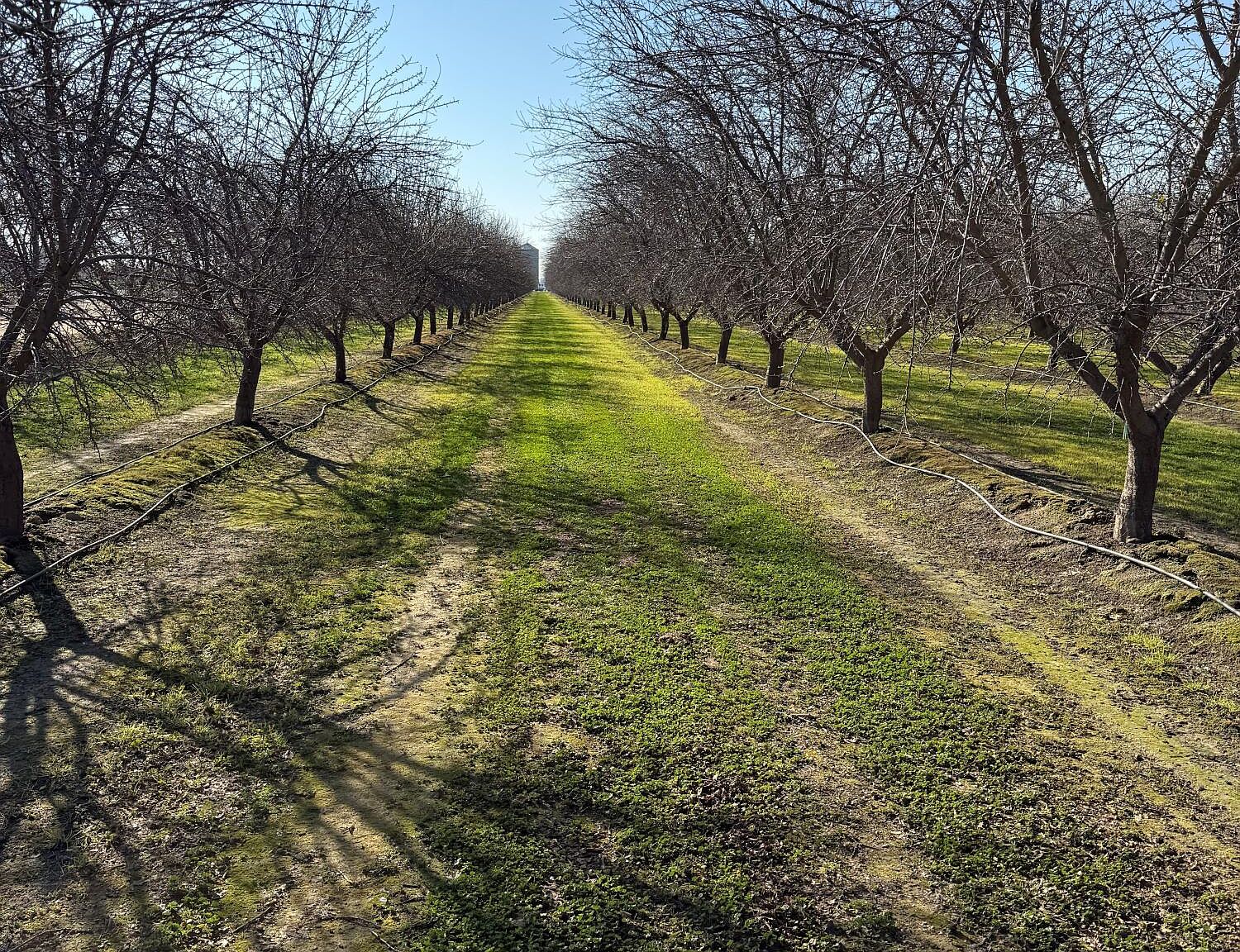 11601 Rd 120, Pixley, CA 93256 | MLS #233253 | Zillow