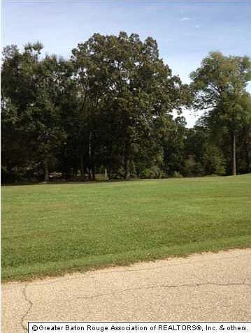 Shane Ct, Zachary, LA 70791 | Zillow