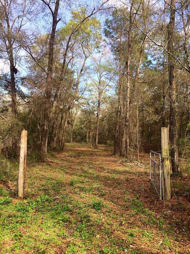 9200 W Kelly Rd, Tallahassee, FL 32311 | Zillow