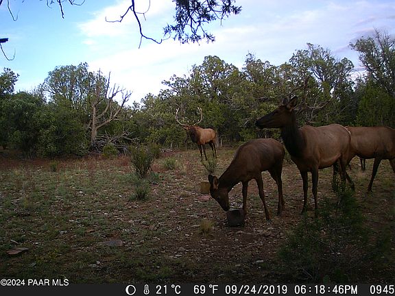 822 Westwood Ranches, Williams, AZ 86046 | MLS #1061877 | Zillow