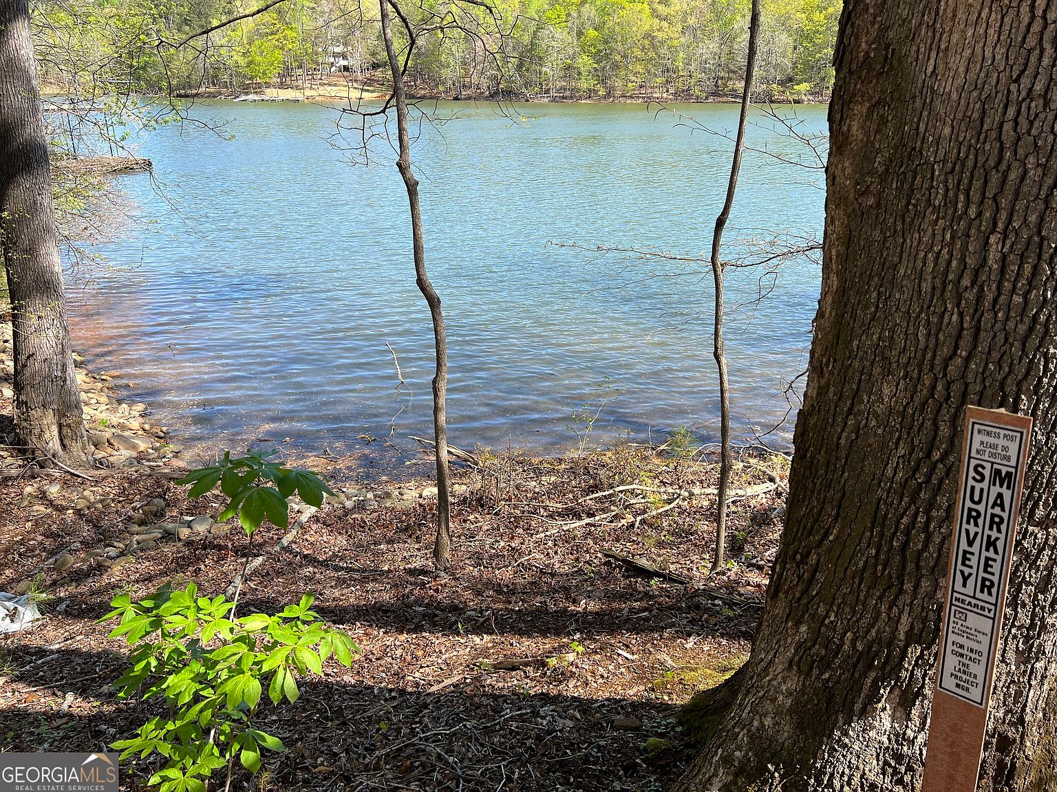 3274 Dunlap Dr, Gainesville, GA 30506 | MLS #10293981 | Zillow