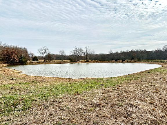 9815 County Road 2780, Mountain View, MO 65548 | MLS #60261968 | Zillow