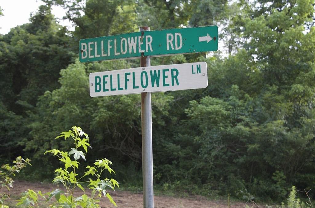 6100 Bellflower Rd, Gibsonville, NC 27249 | Zillow