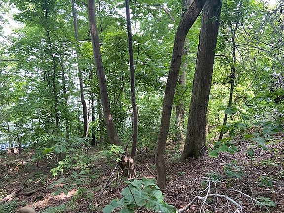 230 Eva Beach Dr, Eva, TN 38333 | Zillow