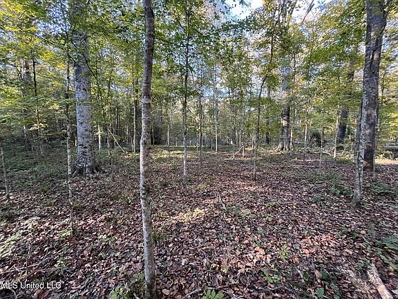 0 Percy Davis Rd, Bolton, MS 39041 | MLS #4096427 | Zillow