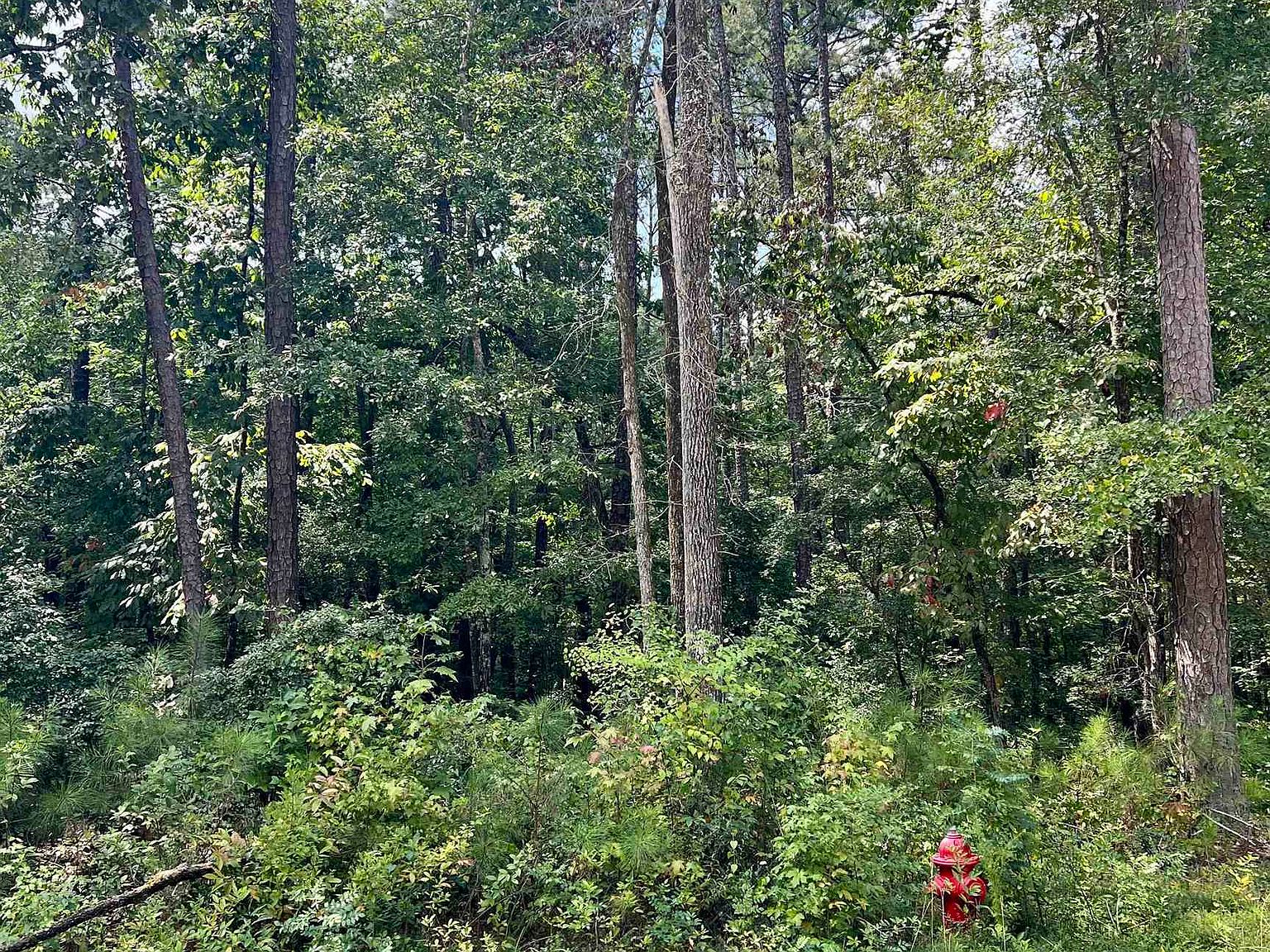 6 Pine Ter, Pine Mountain, GA 31822 | Zillow