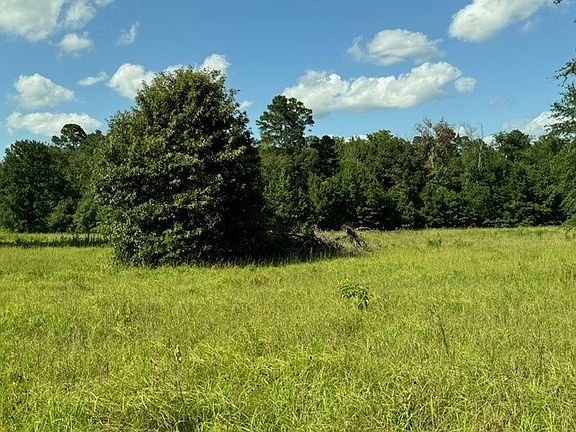 259 South, Diana, TX 75640 | MLS #42251-09074 | Zillow