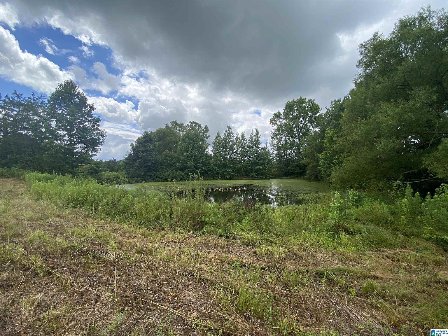 Buck Rd, Locust Fork, AL 35097 | Zillow