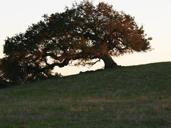 1515 Filaree Way, Arroyo Grande, CA 93420 | Zillow